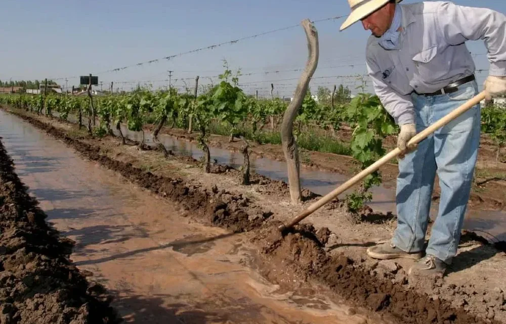 PRODUCTORES DEBERÁN ACTUALIZAR EL RUT ANTES DEL 31 DE MAYO PARA ACCEDER ...